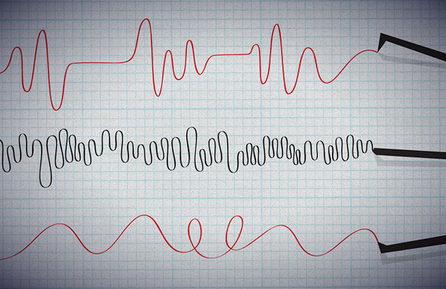 | A Polygraph Primer: What Litigators Need to KnowCenter for Law, Brain ...